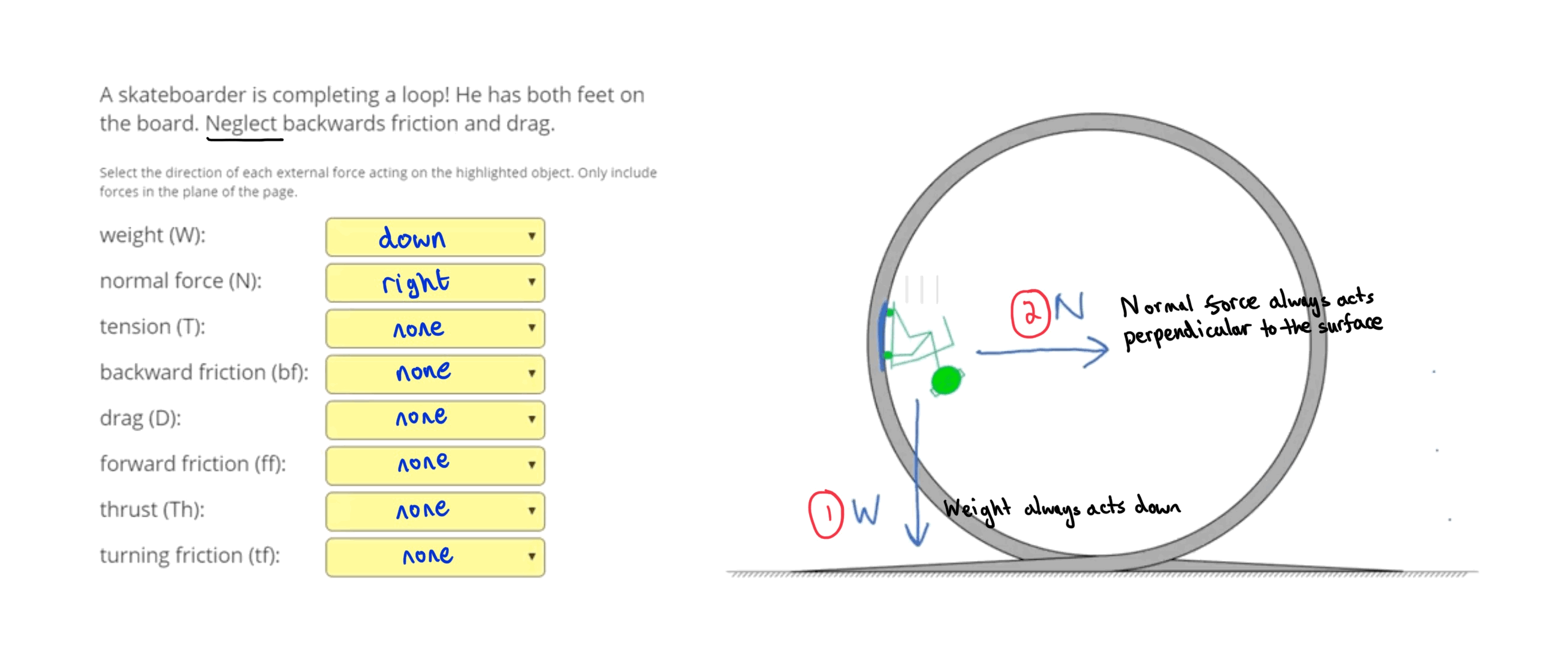 Free-body Diagram Drawing - Circular Motion Unit - Positive Physics