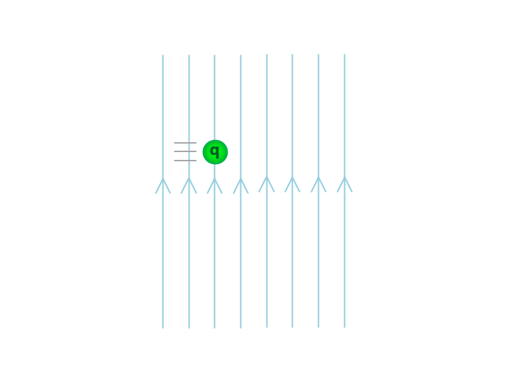 Magnetism Practice Questions - Right Hand Rule 1 - Positive Physics
